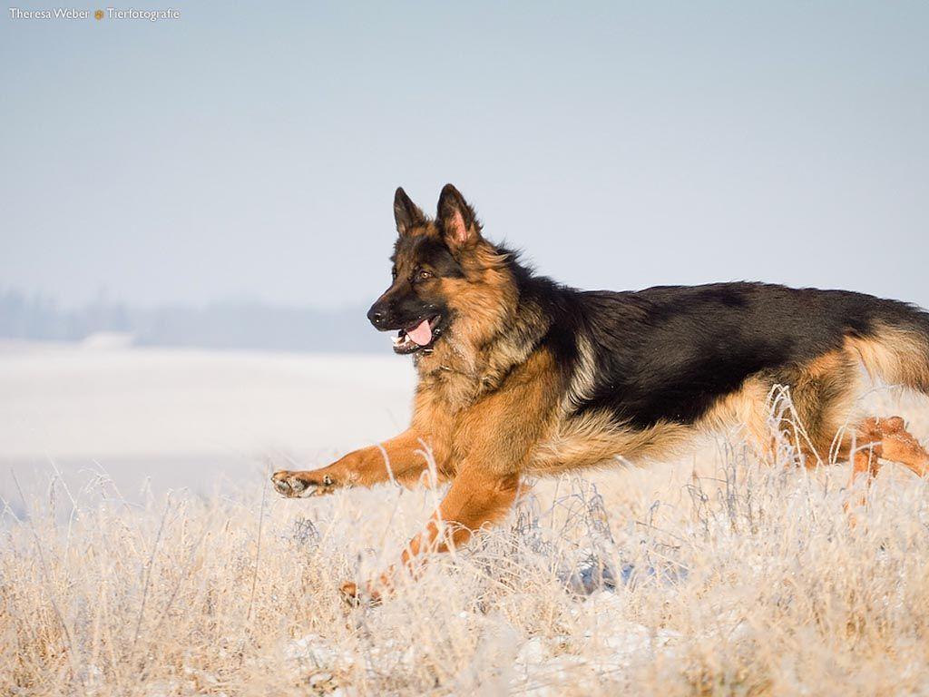 GSD Wallpapers - Top Free GSD Backgrounds - WallpaperAccess