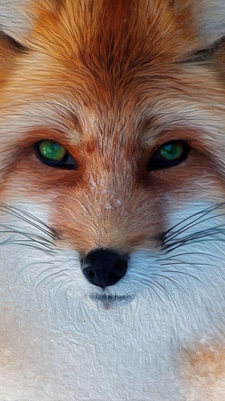 Fox Digital Wallpapers - Top Free Fox Digital Backgrounds - WallpaperAccess