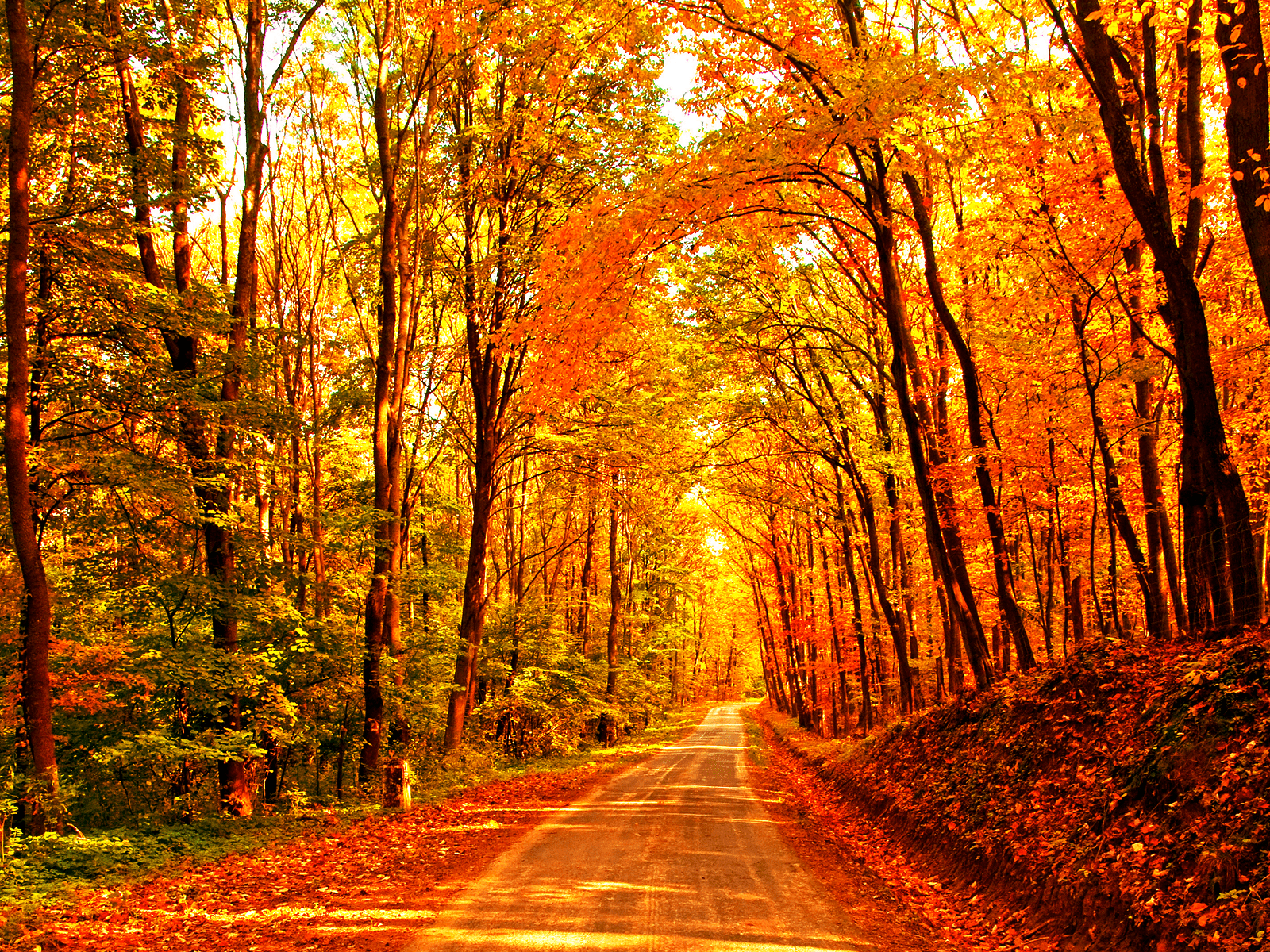 September Fall Wallpapers - Top Free September Fall Backgrounds ...