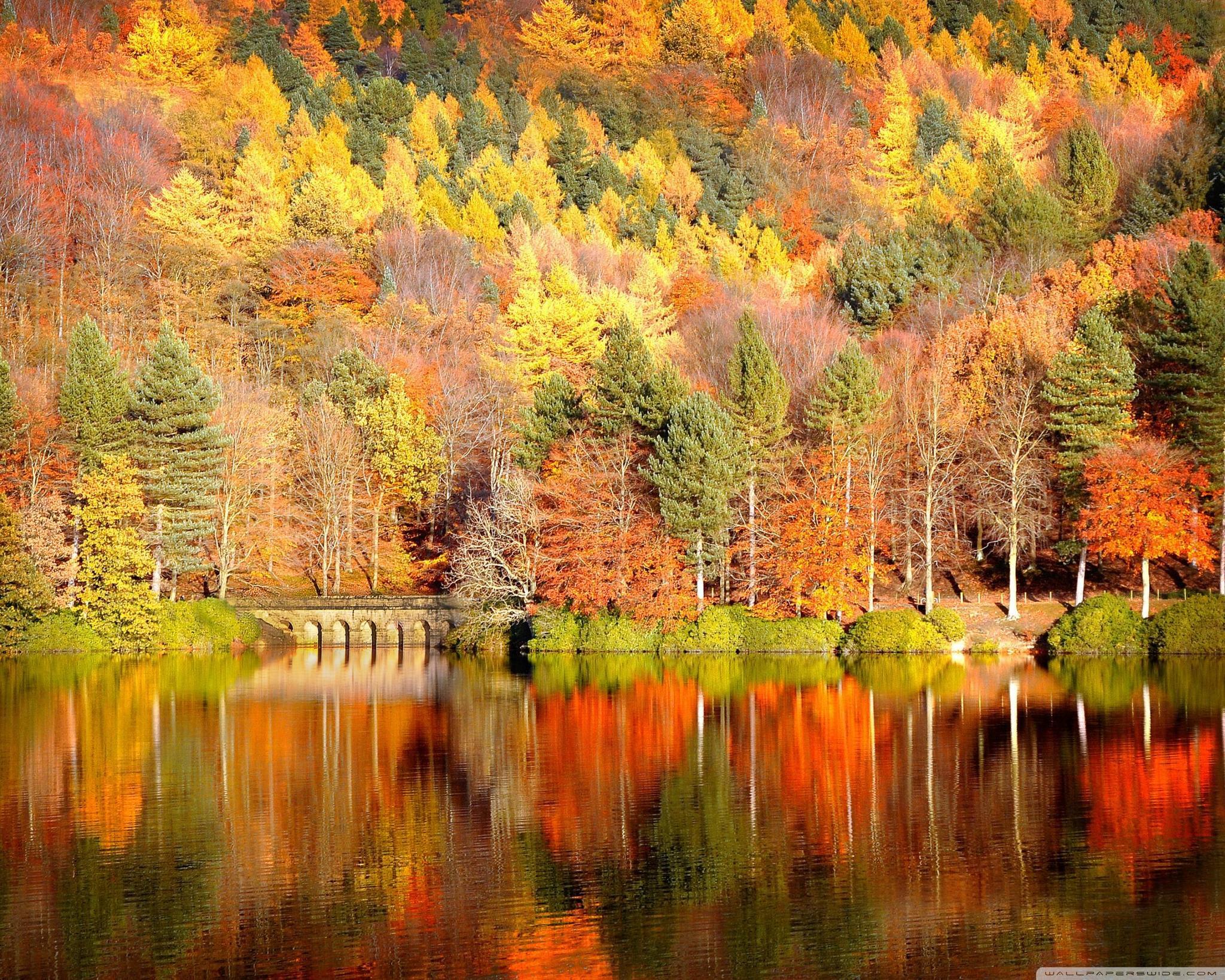 September Fall Wallpapers - Top Free September Fall Backgrounds ...