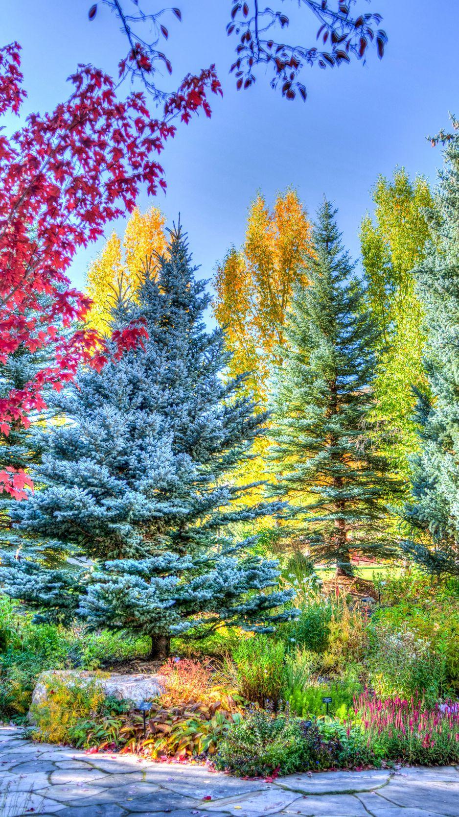 Colorado iPhone Wallpapers - Top Free Colorado iPhone Backgrounds ...