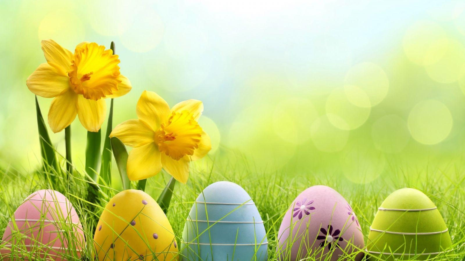 Easter HD Wallpapers - Top Free Easter HD Backgrounds - WallpaperAccess