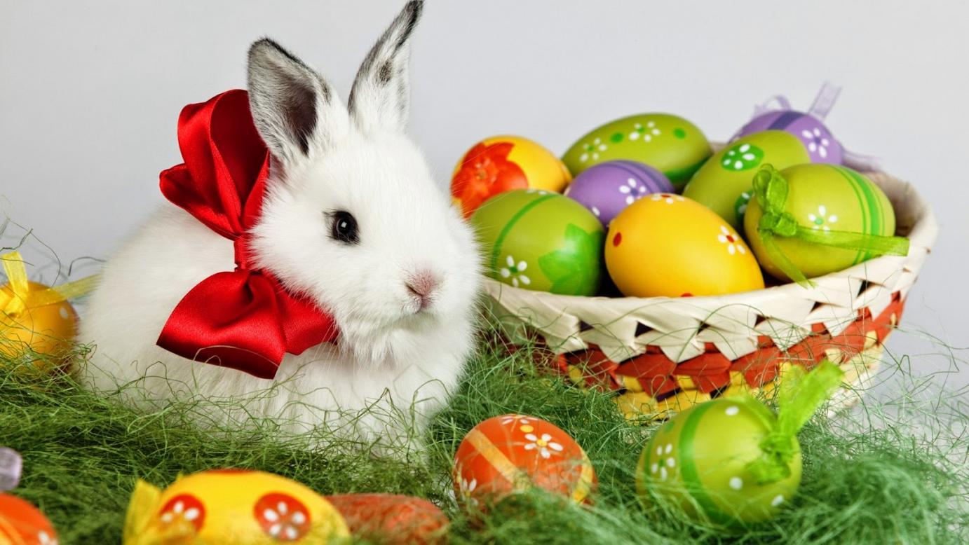 Easter HD Wallpapers - Top Free Easter HD Backgrounds - WallpaperAccess