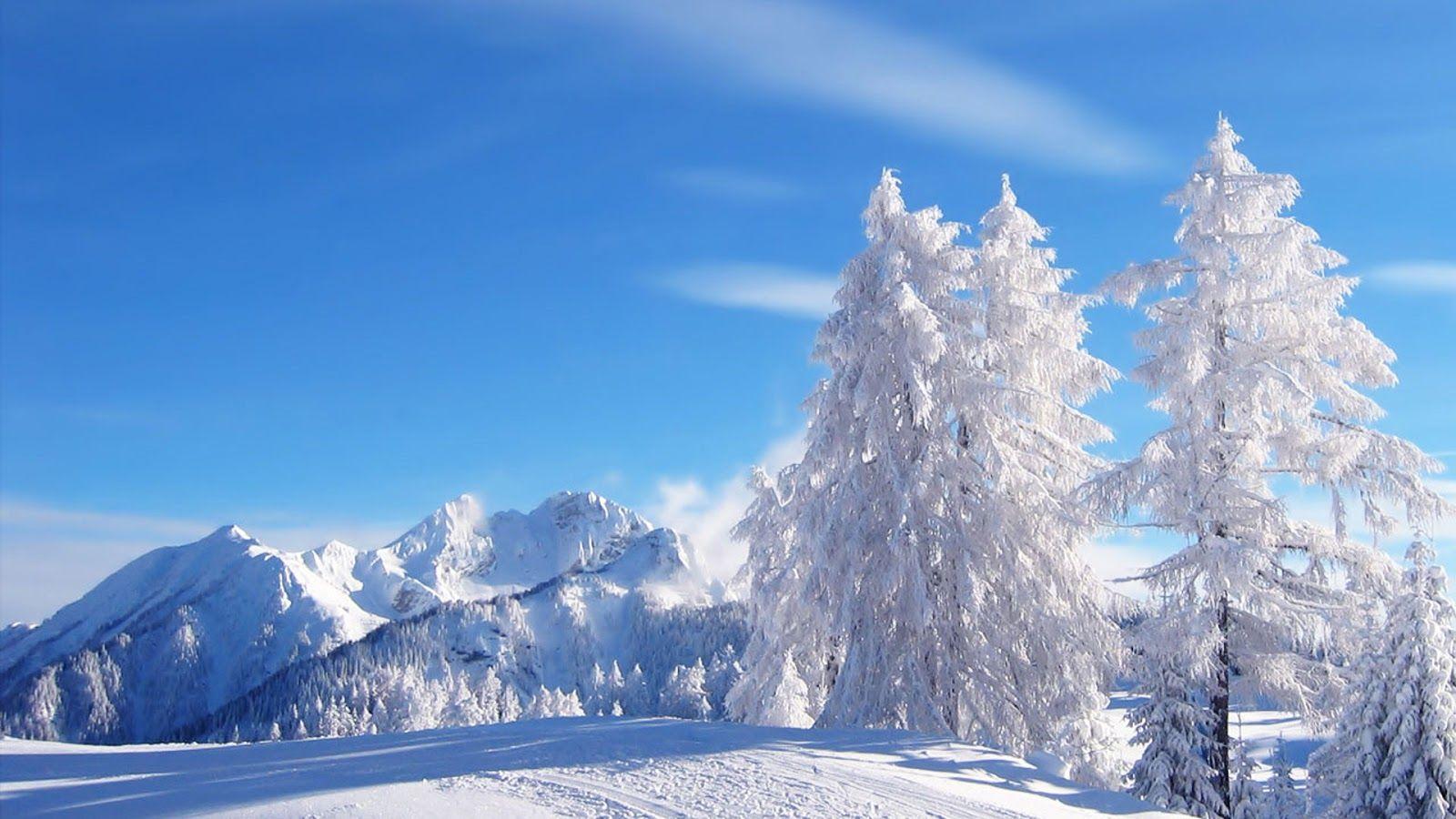 Winter Season Wallpapers - Top Free Winter Season Backgrounds ...