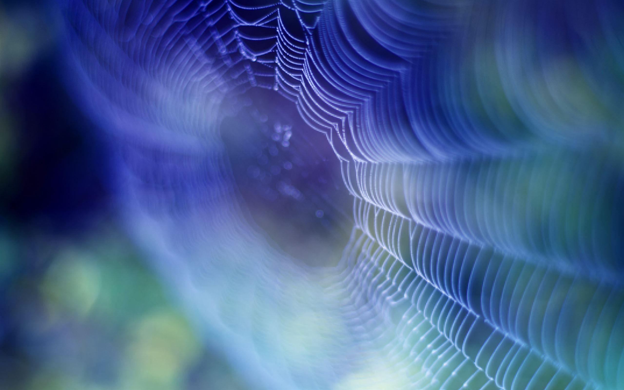 Spiderweb Wallpapers - Top Free Spiderweb Backgrounds - WallpaperAccess