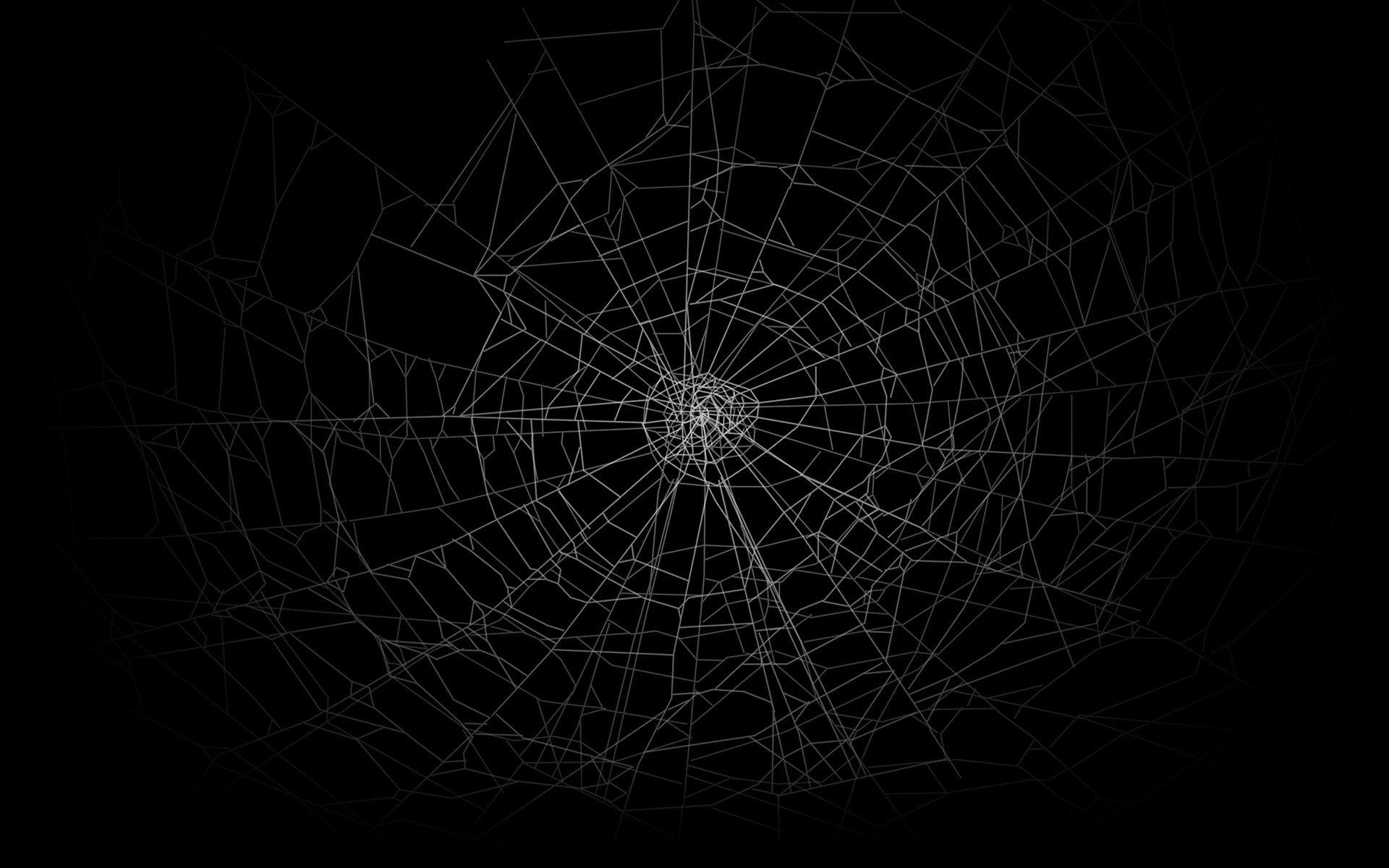 Spiderweb Wallpapers - Top Free Spiderweb Backgrounds - WallpaperAccess