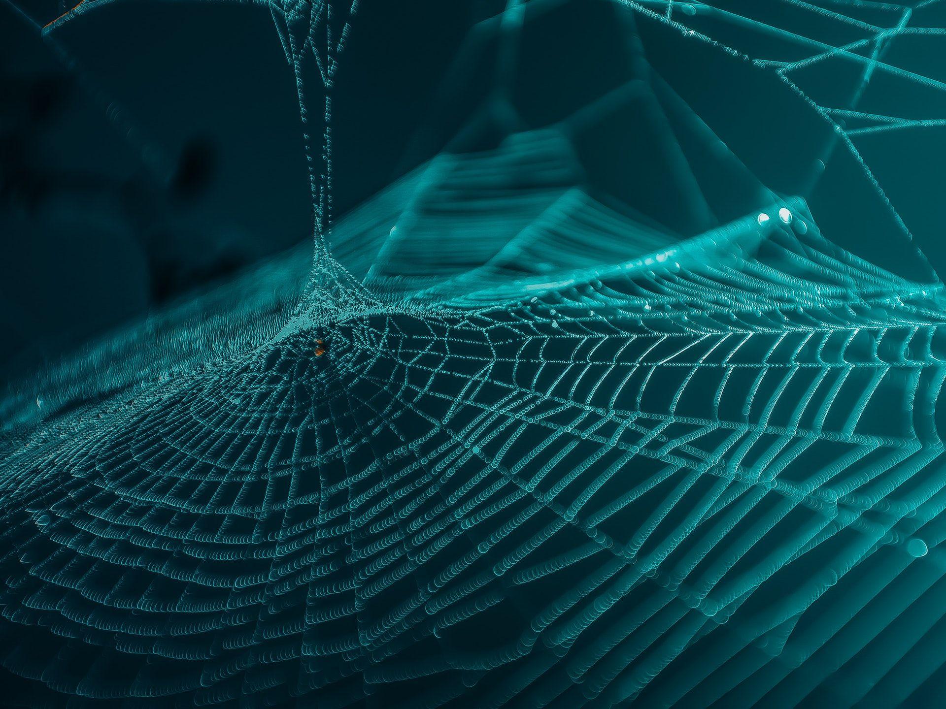 Spiderweb Wallpapers - Top Free Spiderweb Backgrounds - WallpaperAccess