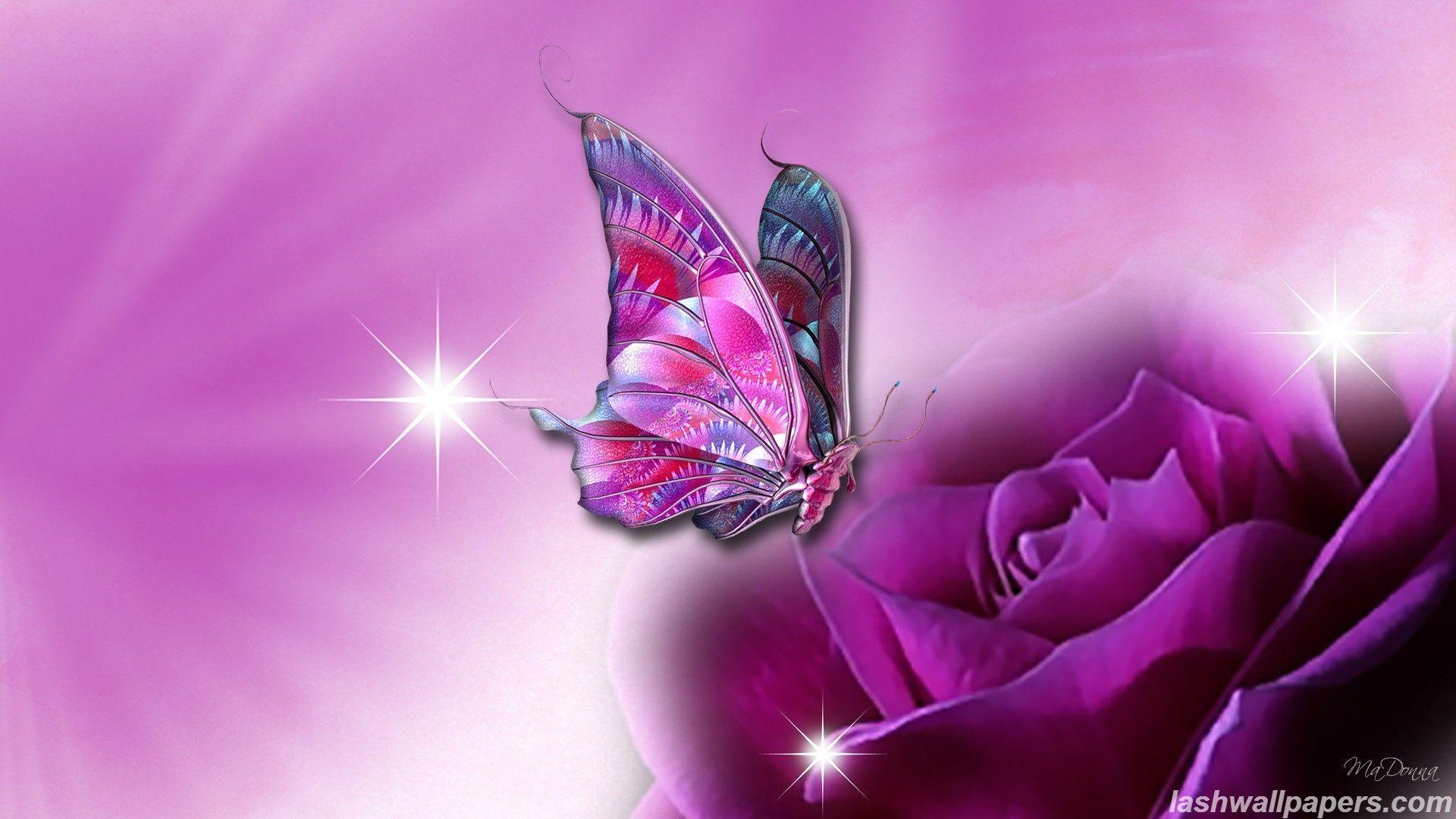 Rose and Butterfly Wallpapers - Top Free Rose and Butterfly Backgrounds ...