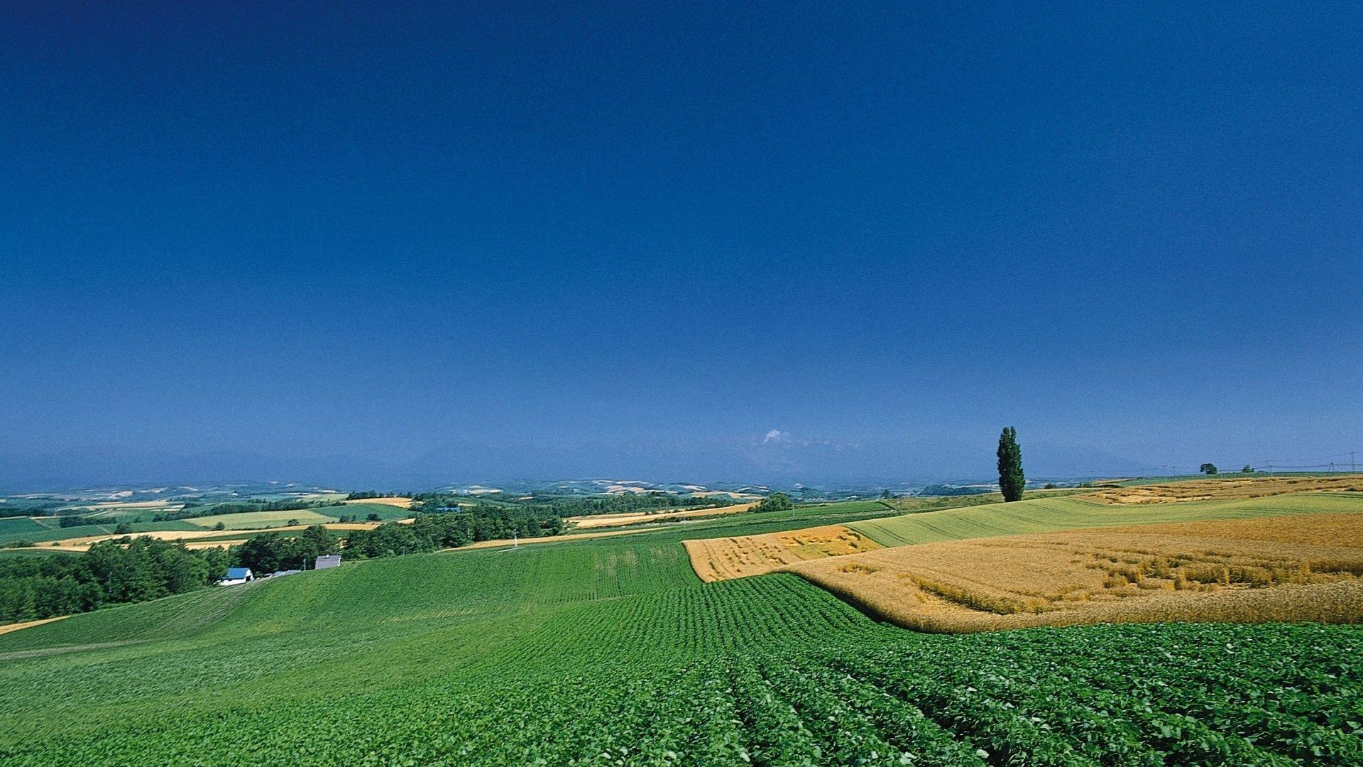 Agricultural Land Wallpapers - Top Free Agricultural Land Backgrounds ...