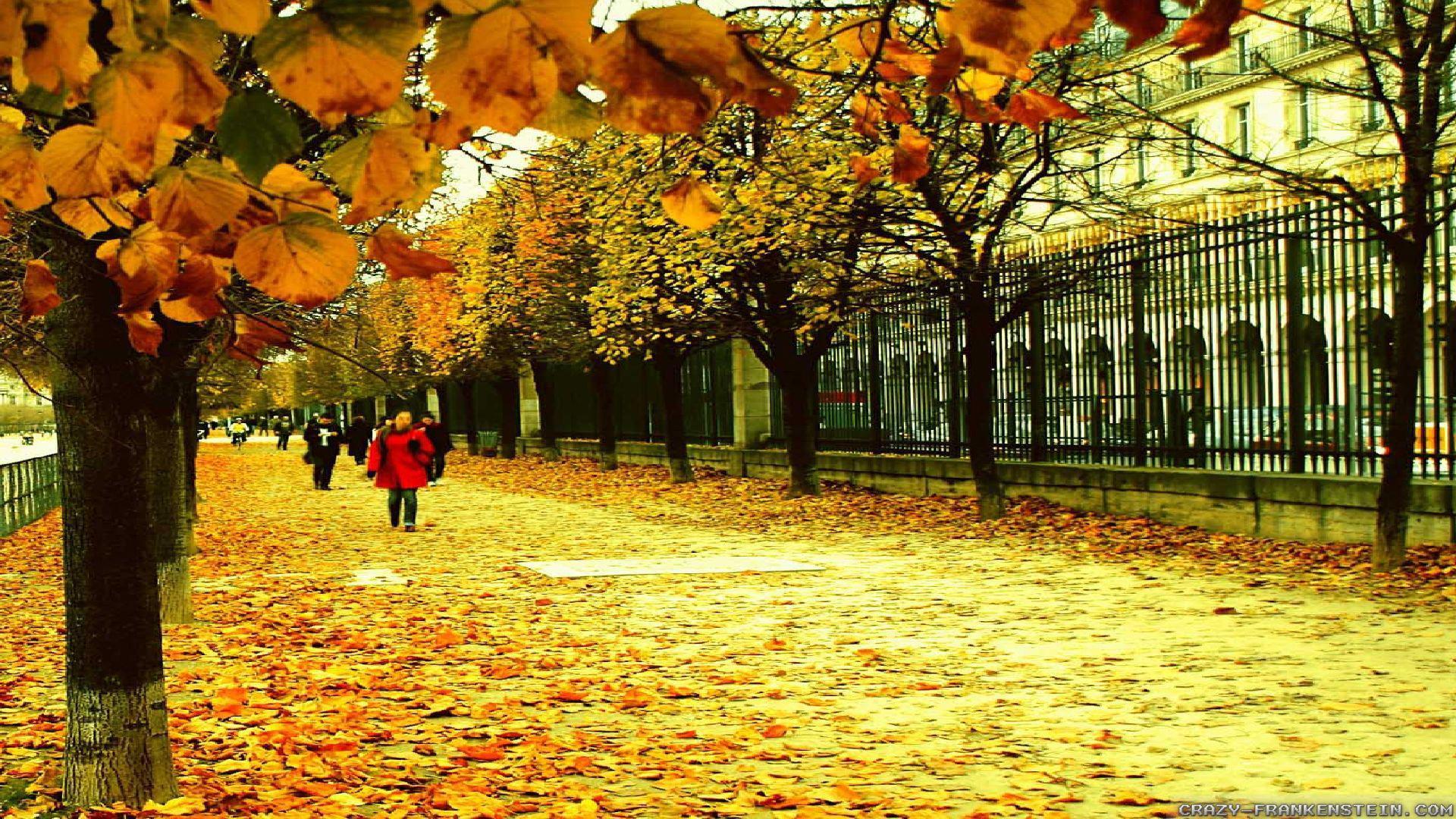 Paris in Autumn Wallpapers - Top Free Paris in Autumn Backgrounds ...
