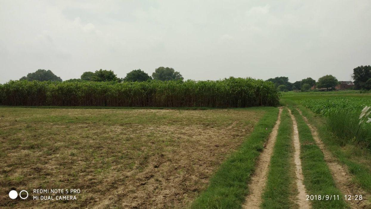 Agricultural Land Wallpapers - Top Free Agricultural Land Backgrounds ...