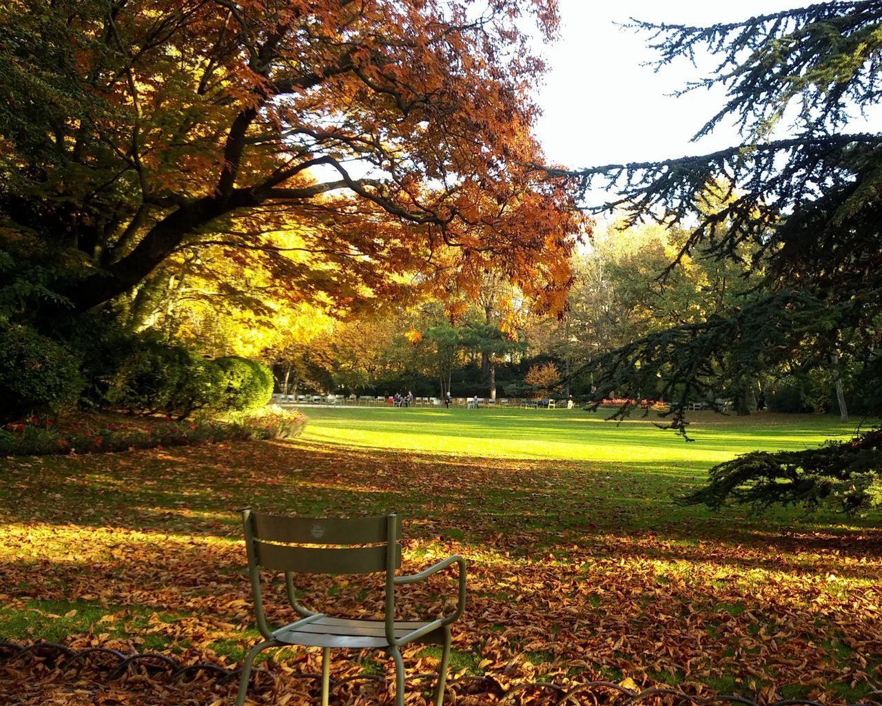 Paris in Autumn Wallpapers - Top Free Paris in Autumn Backgrounds ...