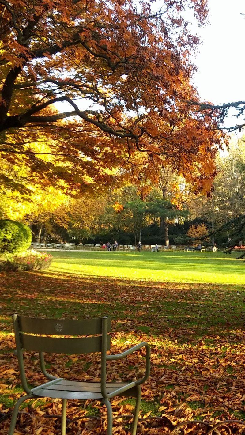 Paris in Autumn Wallpapers - Top Free Paris in Autumn Backgrounds ...