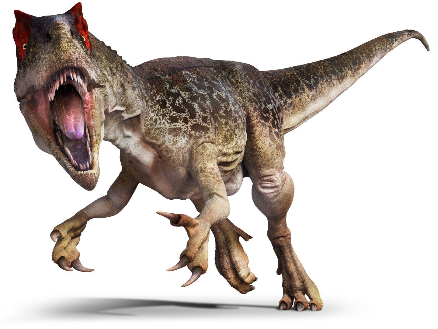 Allosaurus Wallpapers - Top Free Allosaurus Backgrounds - WallpaperAccess