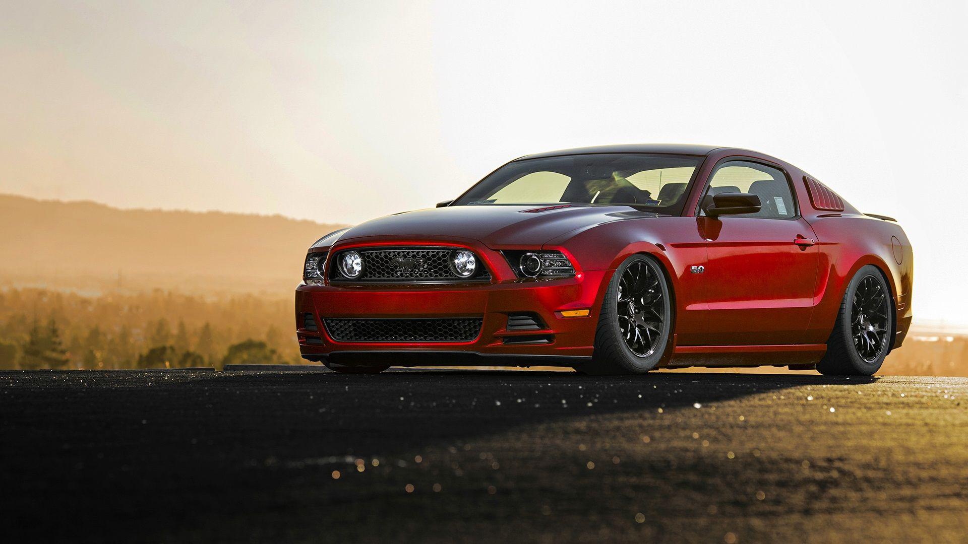 2014 Mustang Wallpapers - Top Free 2014 Mustang Backgrounds ...