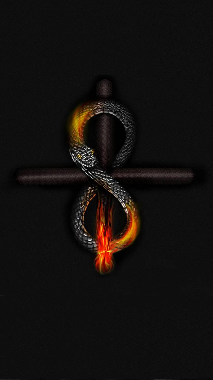 Fire Snake Wallpapers - Top Free Fire Snake Backgrounds - WallpaperAccess