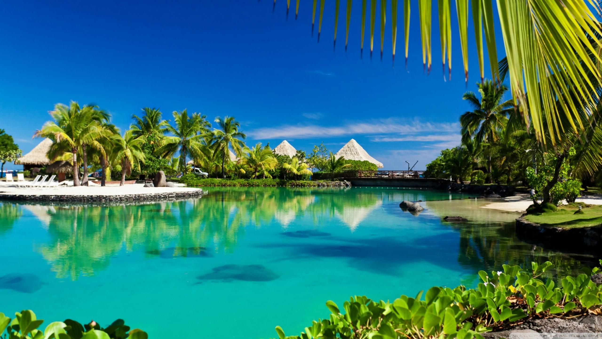 Tropical Resort Wallpapers - Top Free Tropical Resort Backgrounds ...