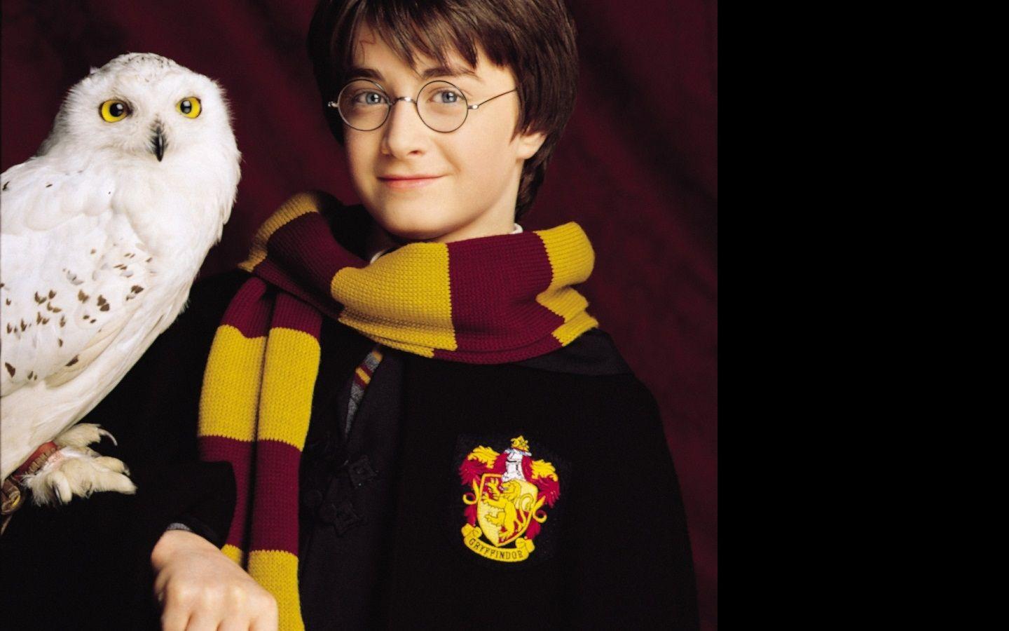 Hedwig Desktop Wallpapers - Top Free Hedwig Desktop Backgrounds ...