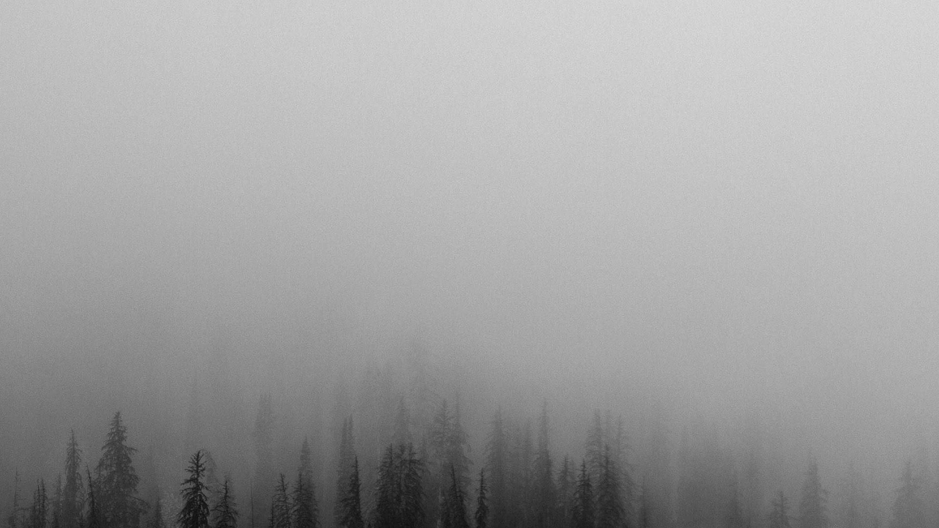 Minimal Wood Wallpapers - Top Free Minimal Wood Backgrounds ...
