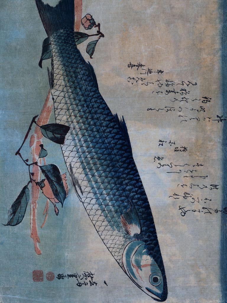 Japanese Fish Art Wallpapers - Top Free Japanese Fish Art Backgrounds ...