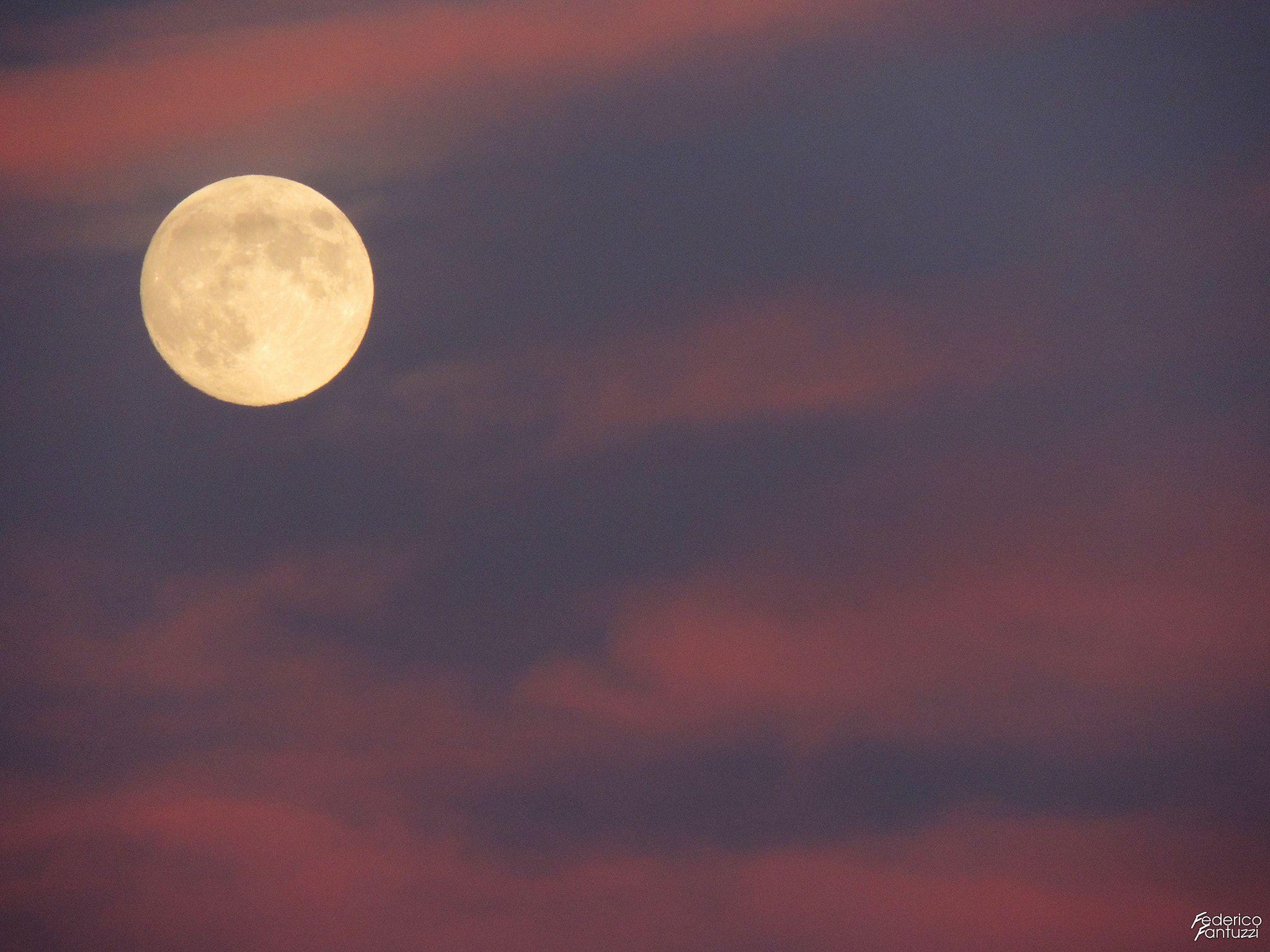 Yellow Moon Wallpapers - Top Free Yellow Moon Backgrounds - WallpaperAccess