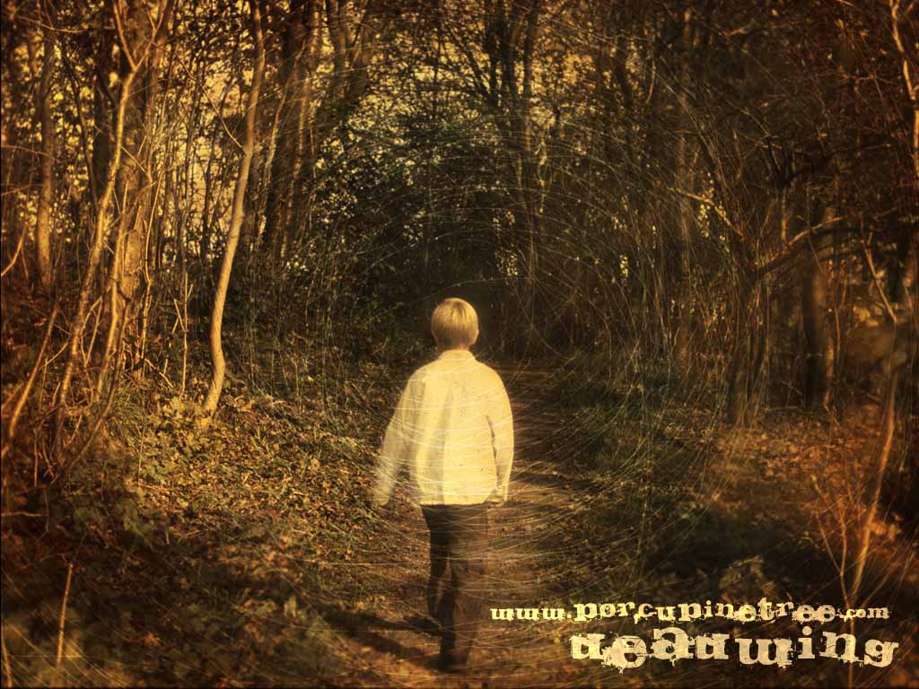 Porcupine Tree Wallpapers - Top Free Porcupine Tree Backgrounds ...