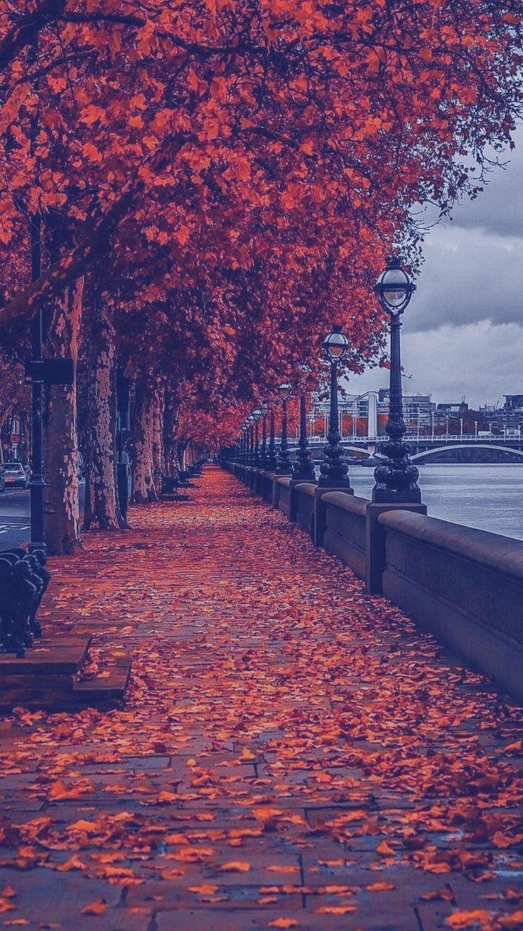 UK Aesthetic Wallpapers - Top Free UK Aesthetic Backgrounds ...