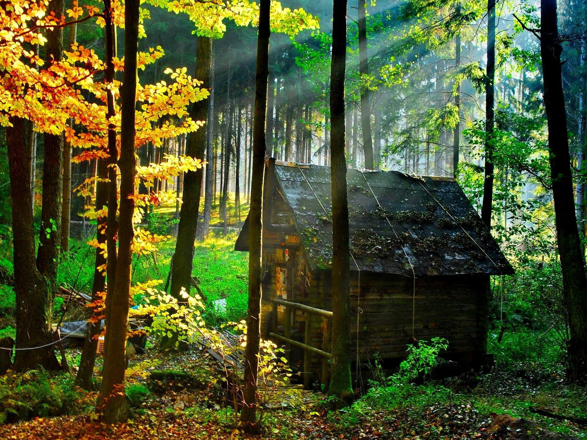 Wooden House Wallpapers - Top Free Wooden House Backgrounds ...