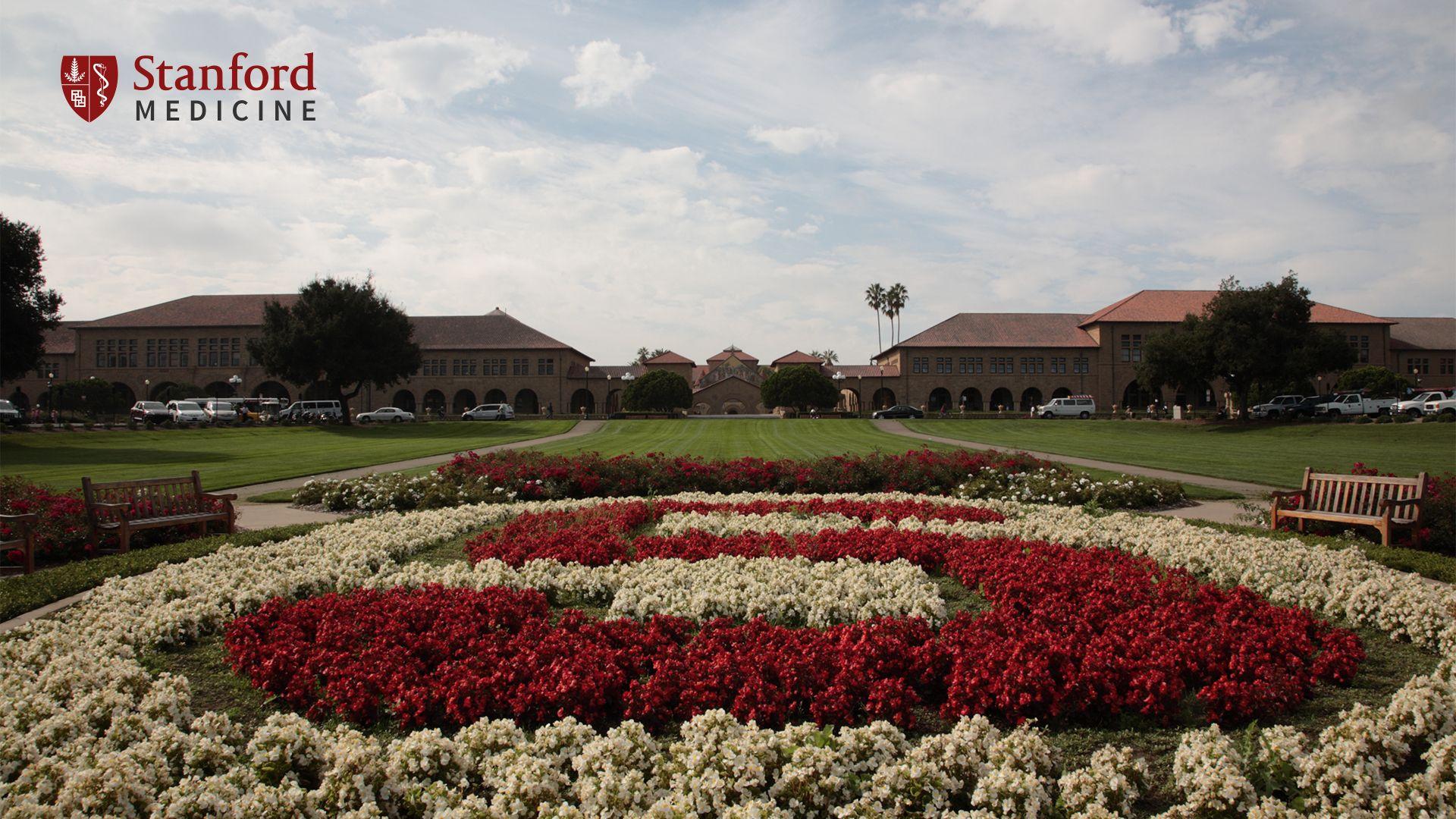 Stanford University Wallpapers - Top Free Stanford University Backgrounds - WallpaperAccess