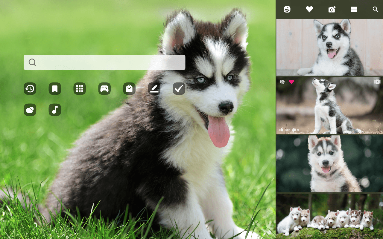 Cute Baby Husky Wallpapers - Top Free Cute Baby Husky Backgrounds ...