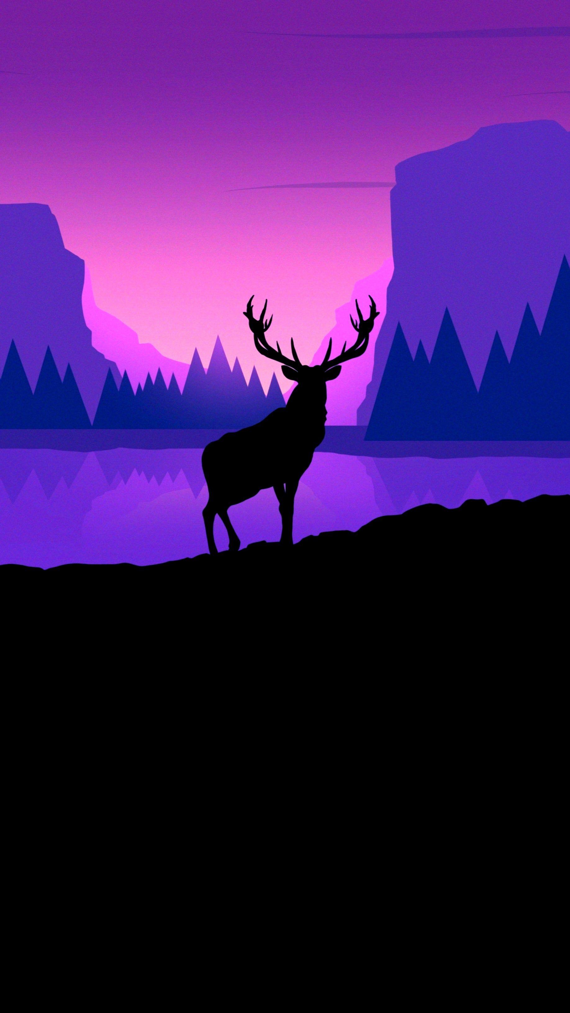 Neon AMOLED Wallpapers - Top Free Neon AMOLED Backgrounds - WallpaperAccess