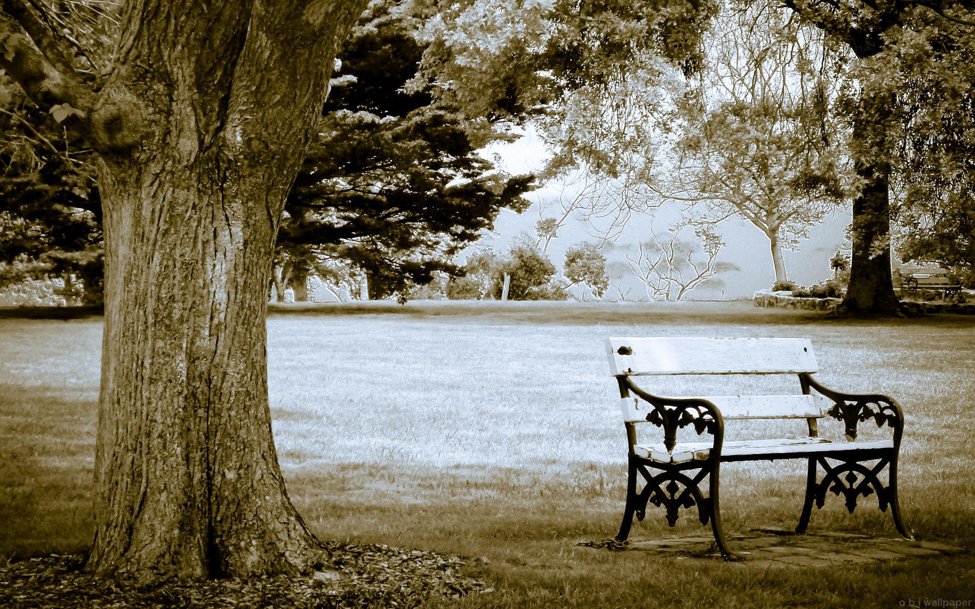 Park Bench Wallpapers - Top Free Park Bench Backgrounds - WallpaperAccess