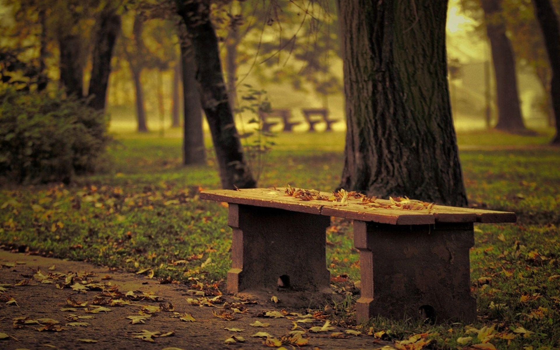 Park Bench Wallpapers - Top Free Park Bench Backgrounds - WallpaperAccess