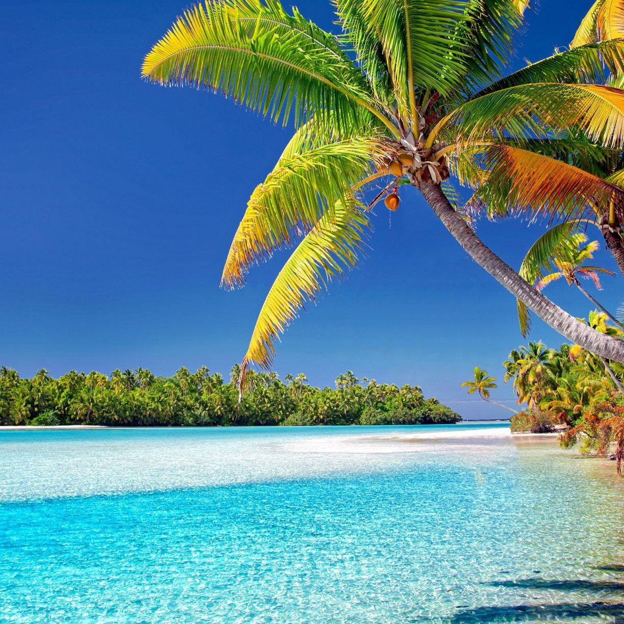 Cook Islands Wallpapers - Top Free Cook Islands Backgrounds ...