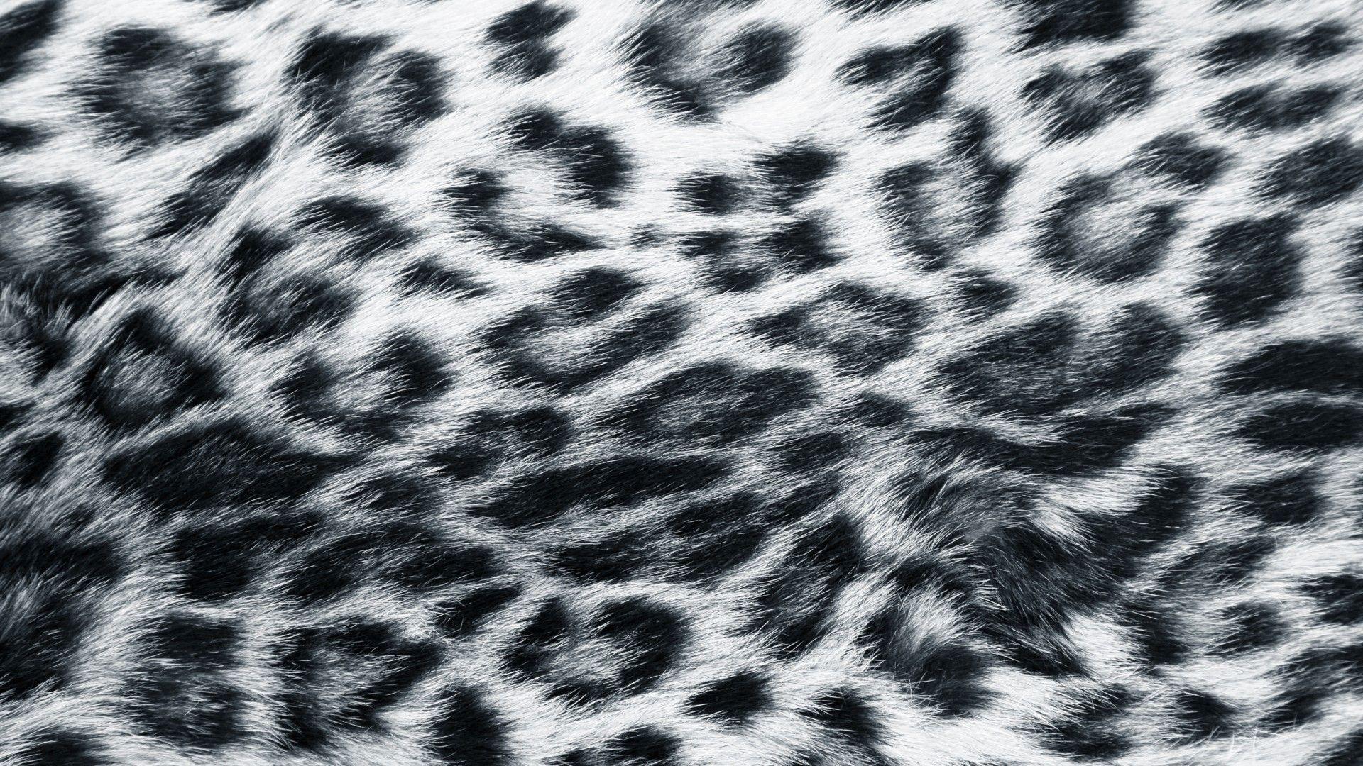 Black and White Animal Print Wallpapers - Top Free Black and White ...