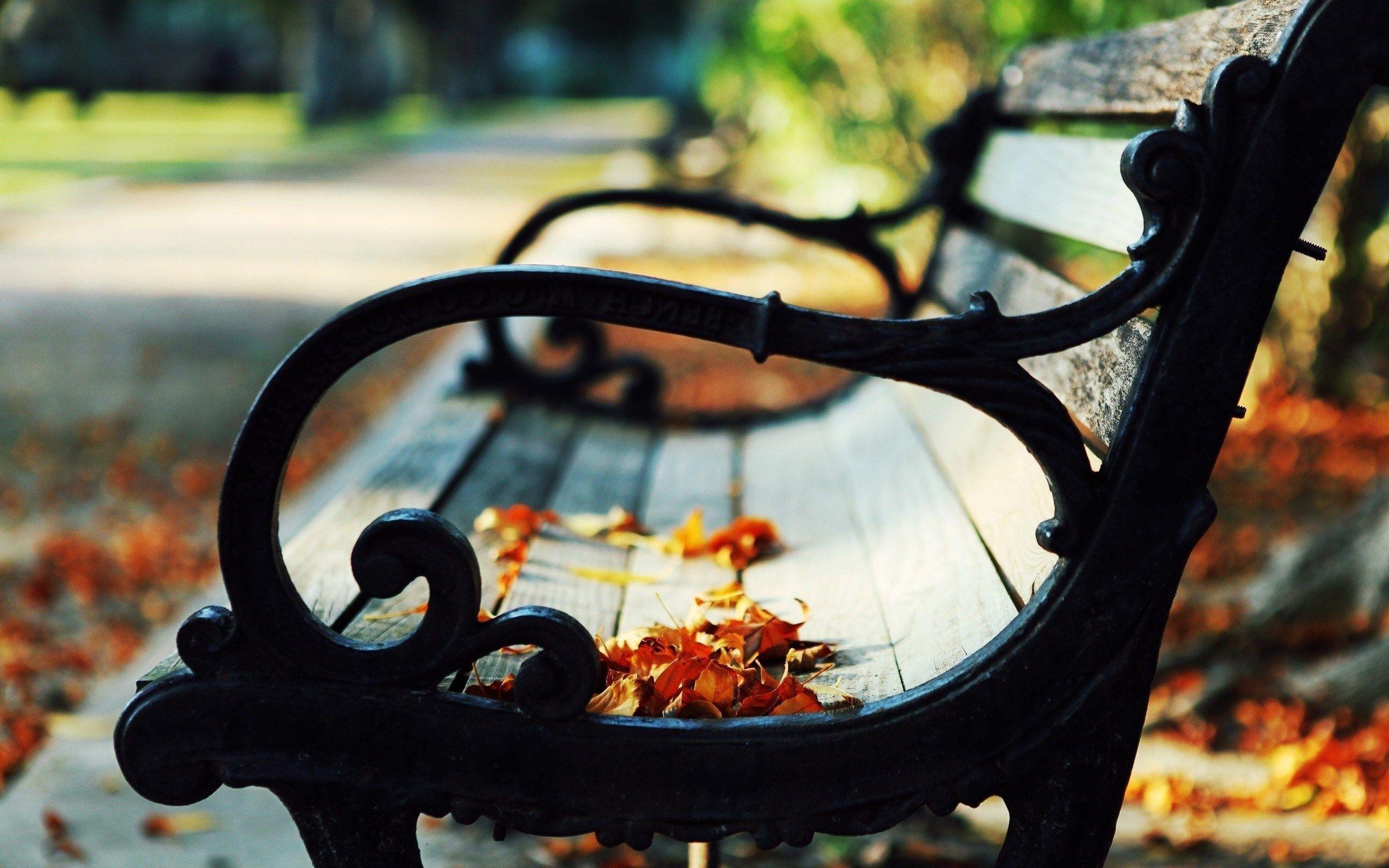 Park Bench Wallpapers - Top Free Park Bench Backgrounds - WallpaperAccess