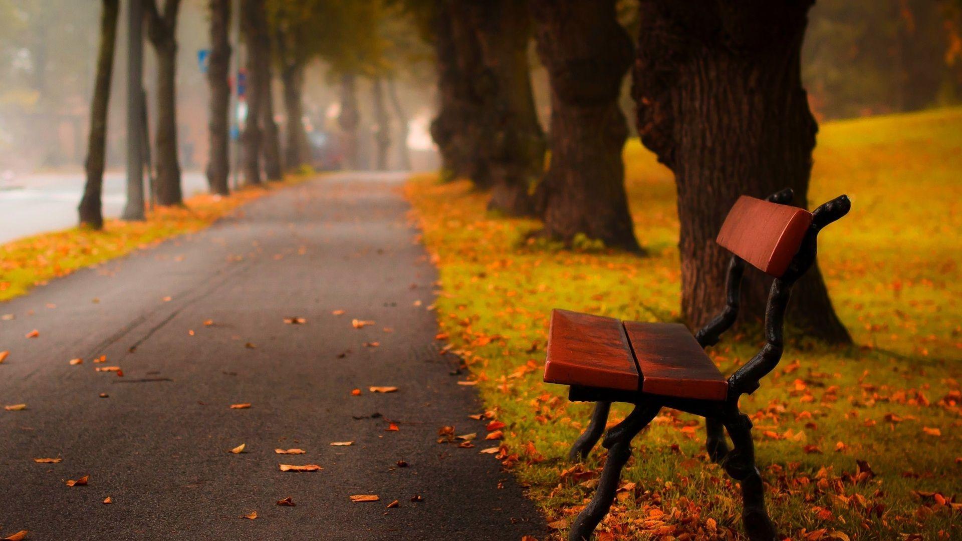 Park Bench Wallpapers - Top Free Park Bench Backgrounds - WallpaperAccess