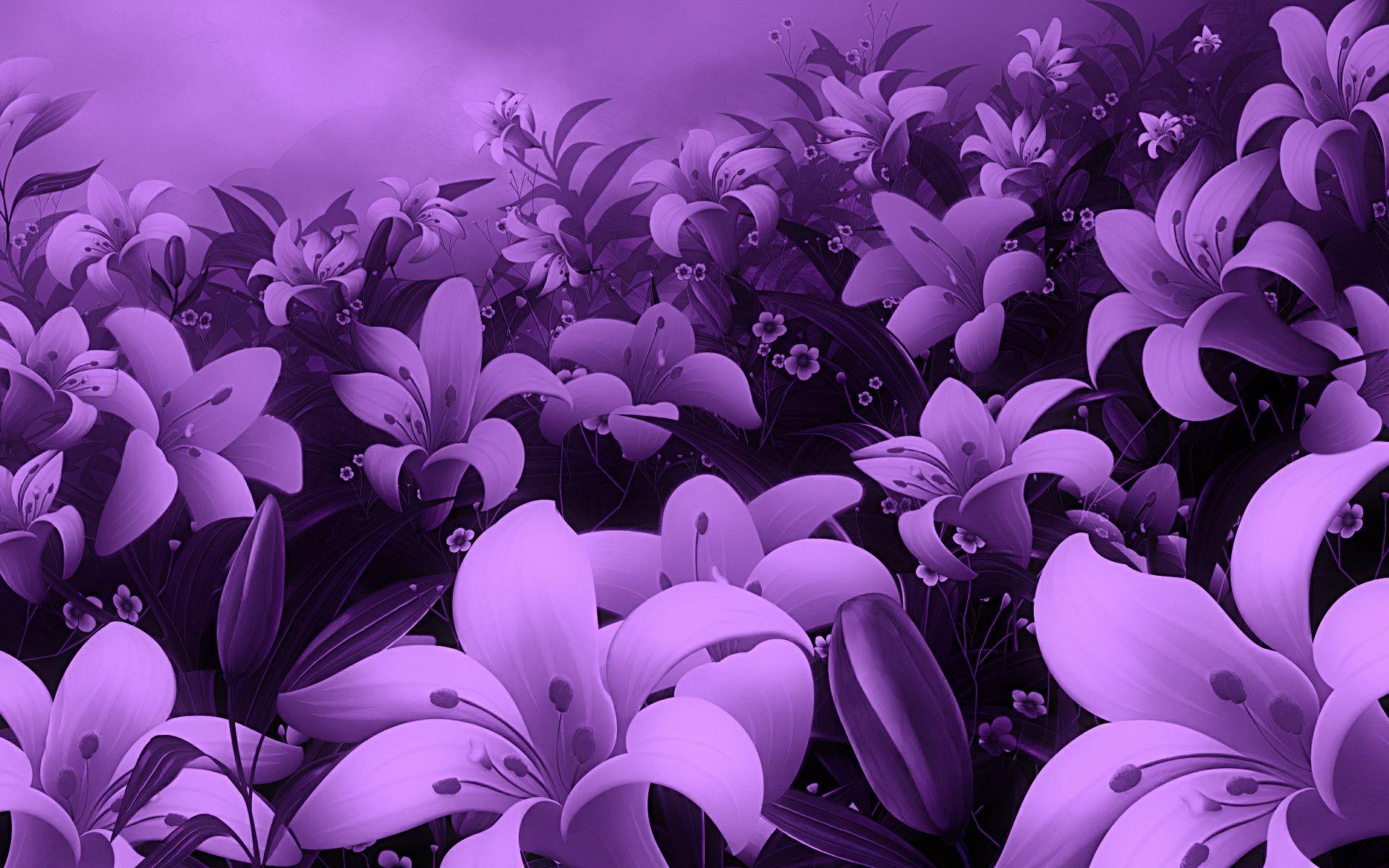 Violet Rose Wallpapers - Top Free Violet Rose Backgrounds - WallpaperAccess