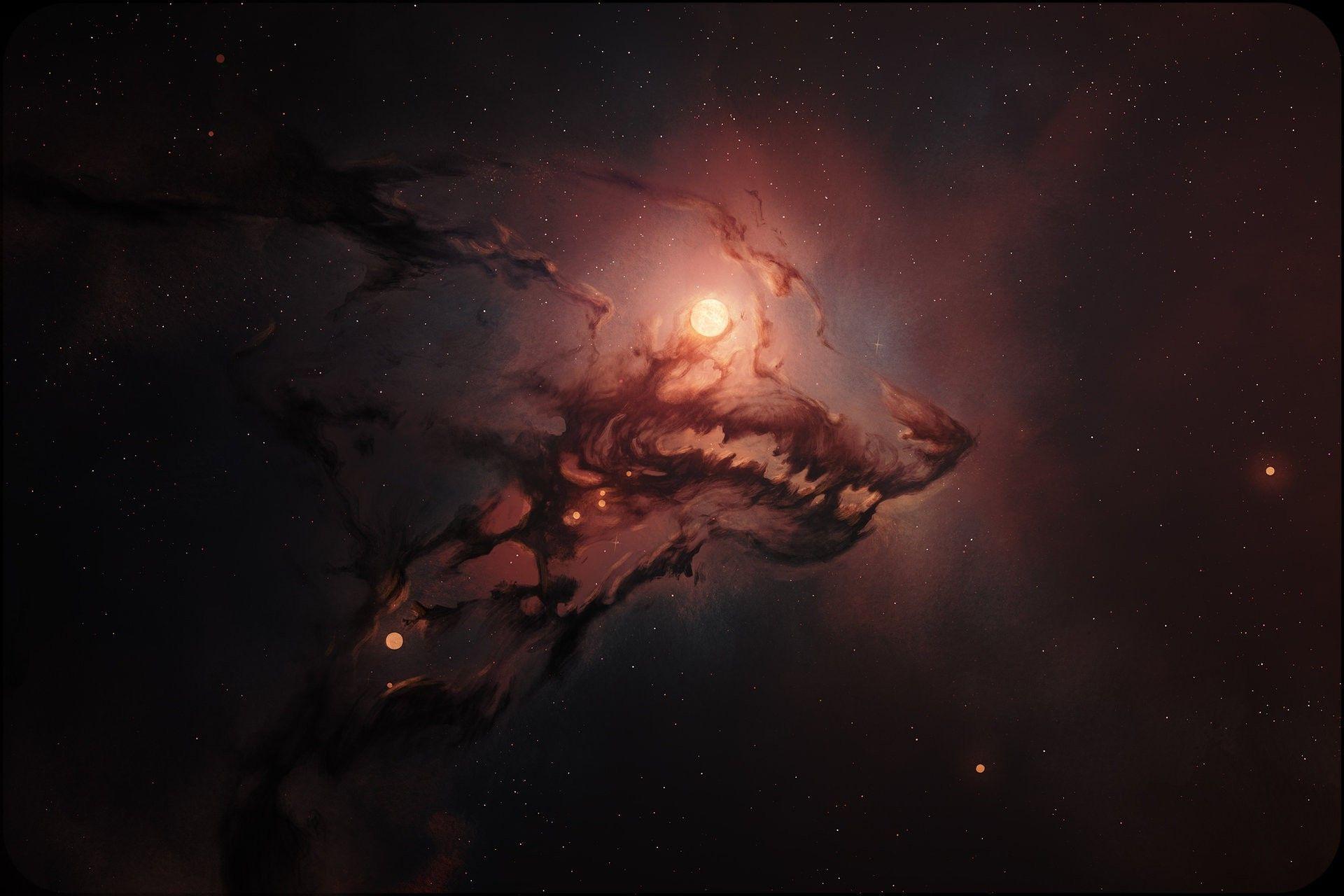 Space Animals Wallpapers - Top Free Space Animals Backgrounds ...