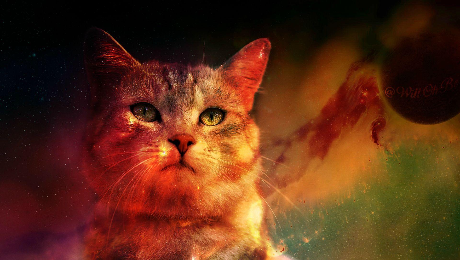 Space Animals Wallpapers - Top Free Space Animals Backgrounds ...