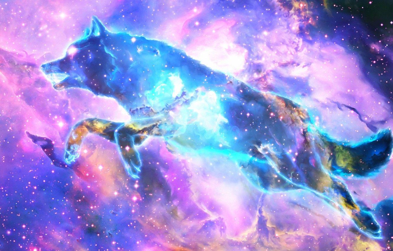 Space Wolf Wallpapers - Top Free Space Wolf Backgrounds - WallpaperAccess