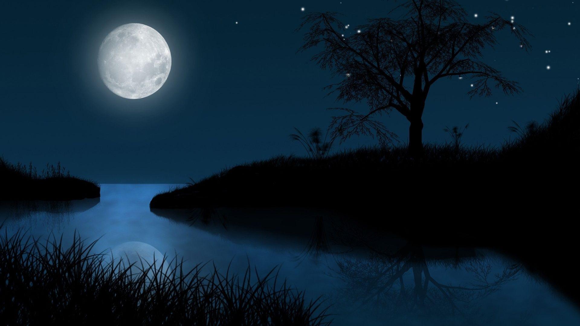 Moon and Tree Wallpapers - Top Free Moon and Tree Backgrounds ...