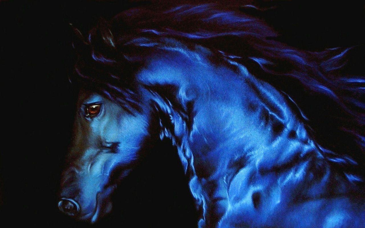 Blue Horse Wallpapers - Top Free Blue Horse Backgrounds - WallpaperAccess