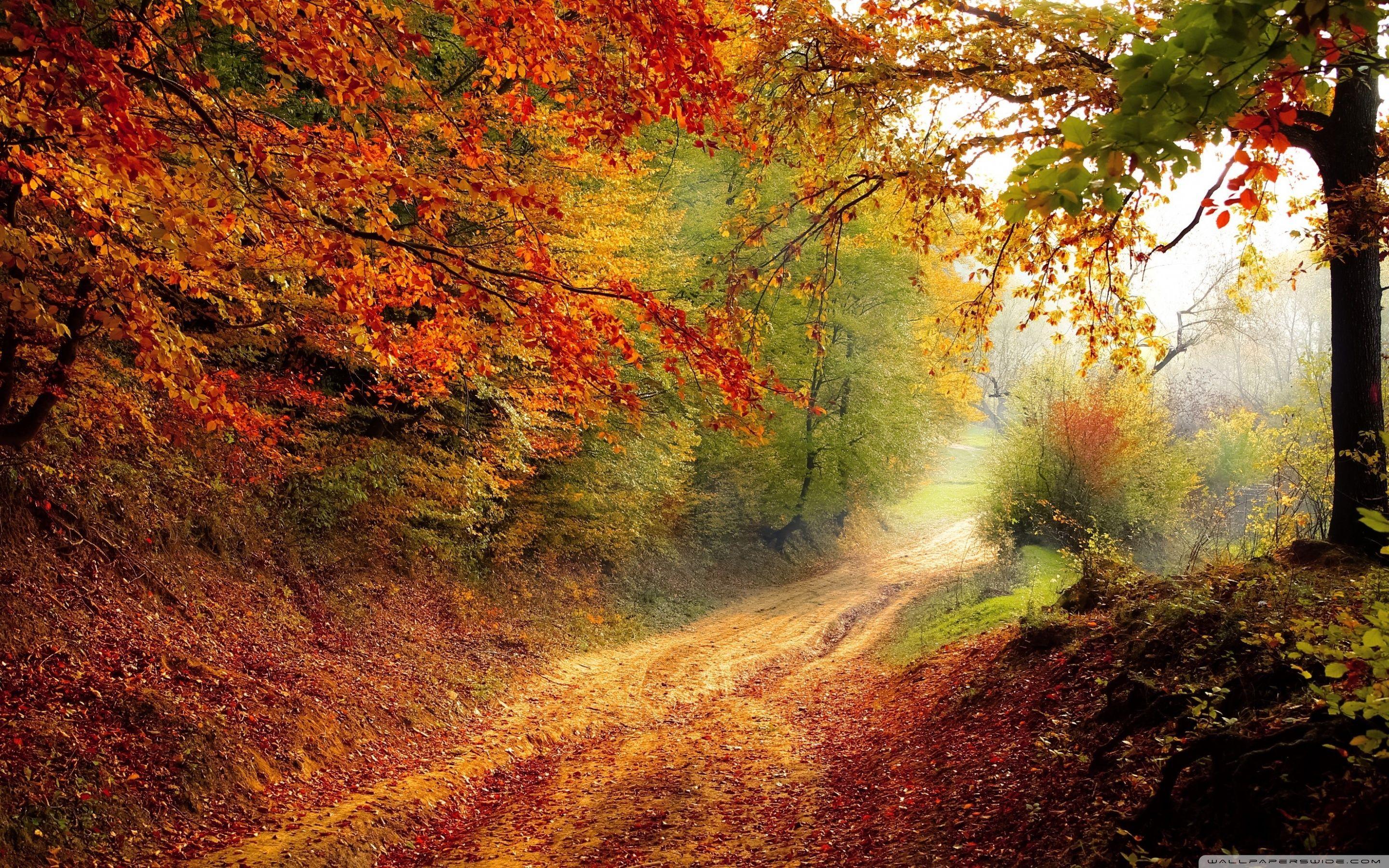 Fall MacBook Wallpapers - Top Free Fall MacBook Backgrounds ...