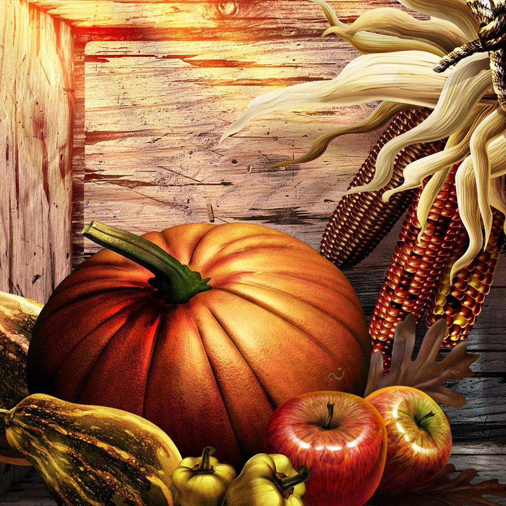 Harvest Festival Wallpapers - Top Free Harvest Festival Backgrounds ...