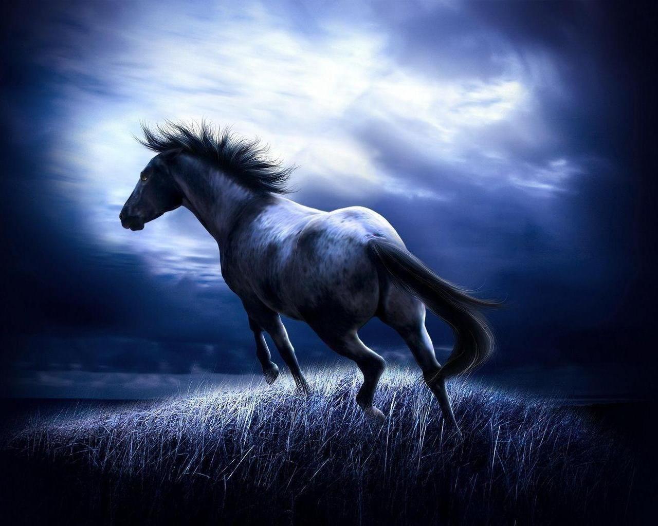 3D Fire Horse Wallpapers - Top Free 3D Fire Horse Backgrounds ...