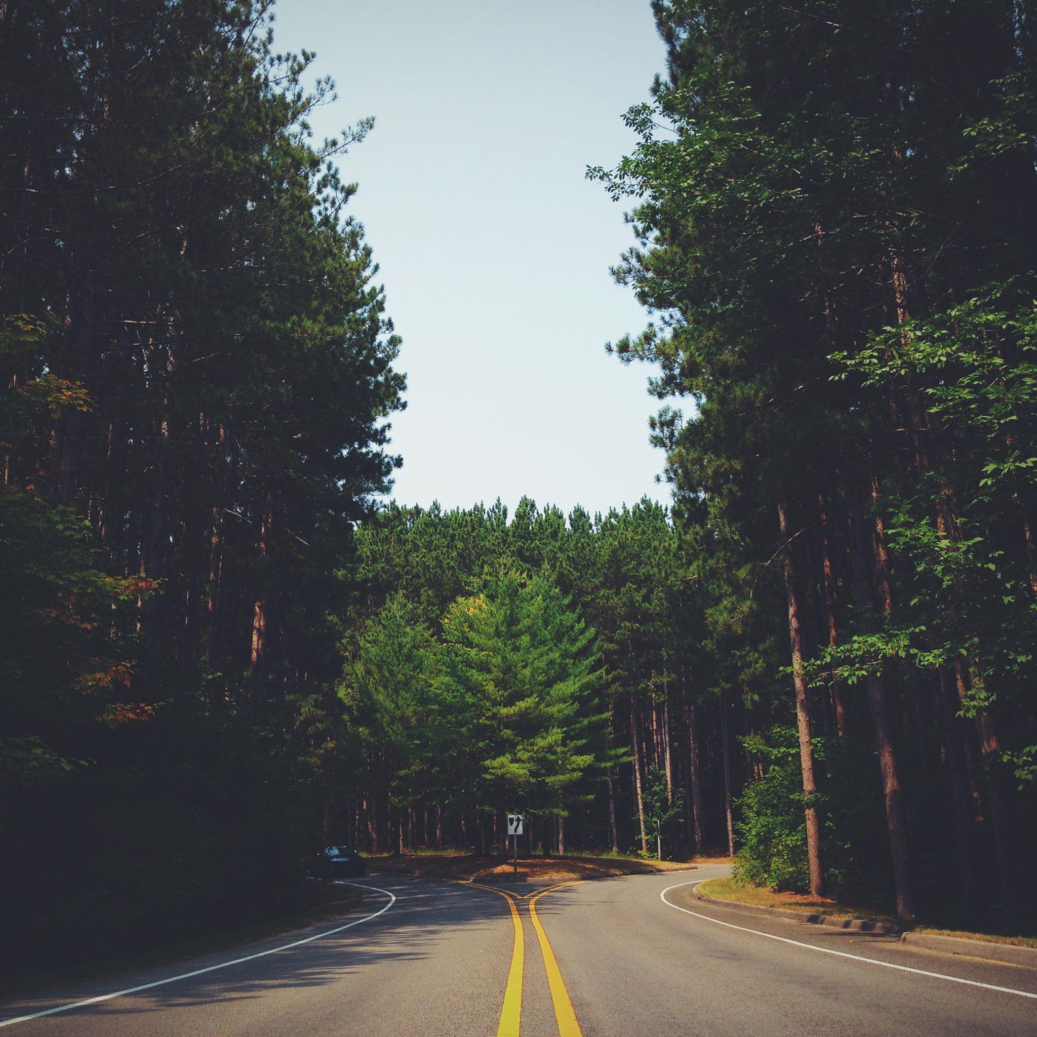 Forest iPad Wallpapers - Top Free Forest iPad Backgrounds - WallpaperAccess