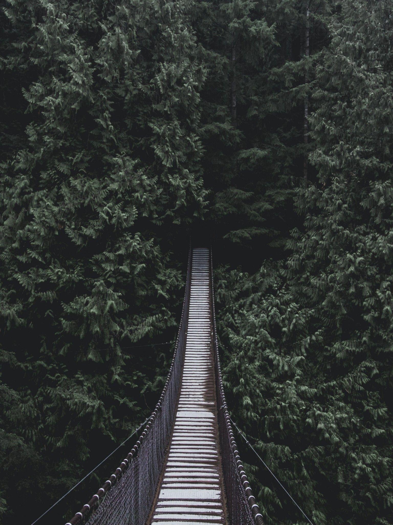 Forest iPad Wallpapers - Top Free Forest iPad Backgrounds - WallpaperAccess