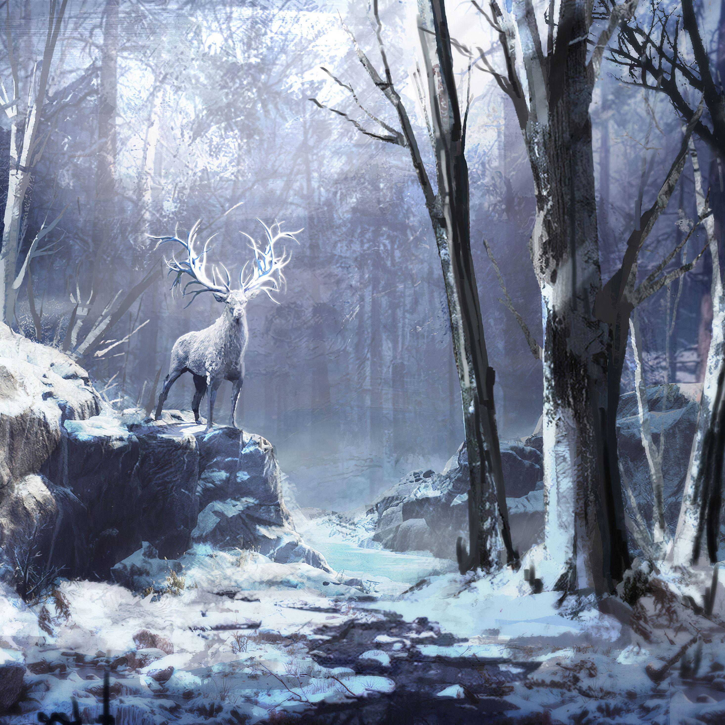 Forest iPad Wallpapers - Top Free Forest iPad Backgrounds - WallpaperAccess