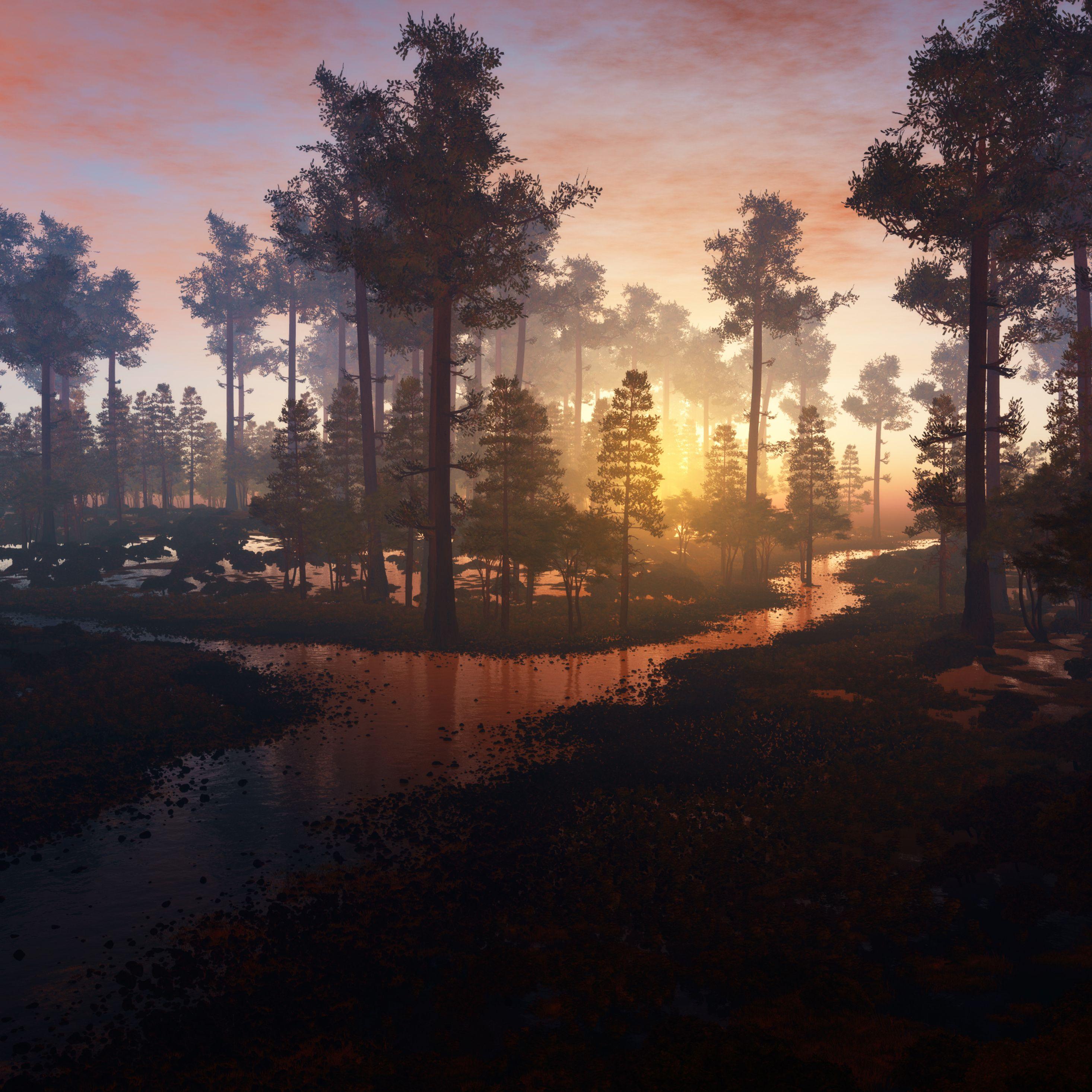 Forest iPad Wallpapers - Top Free Forest iPad Backgrounds - WallpaperAccess